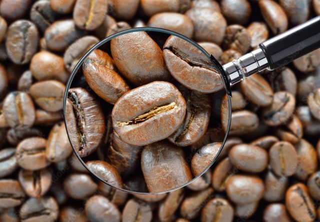 Coffee-bean-under-the-microscope- | Inspire Catering